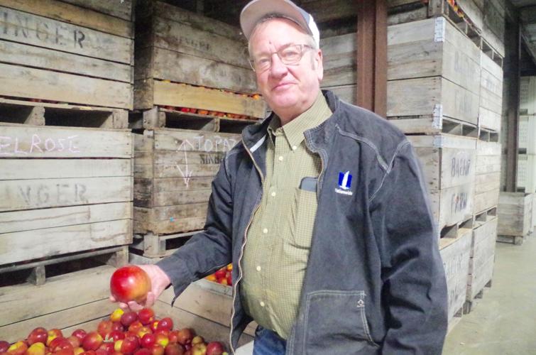 Thankful for a bountiful local harvest | Local News | lockportjournal.com