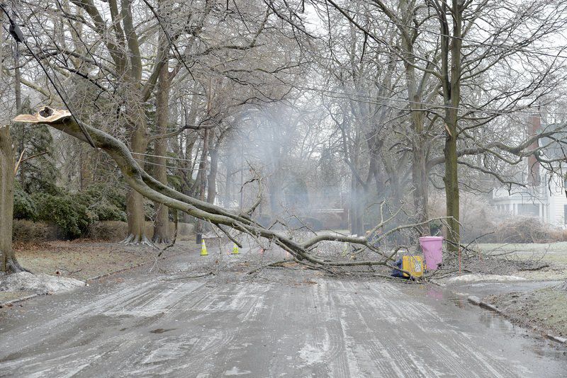 Icy conditions lead to fallen trees, downed power lines | Local News ...