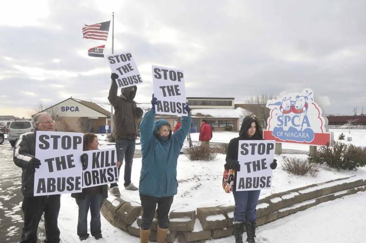 SPCA board backs Faso | Local News | lockportjournal.com