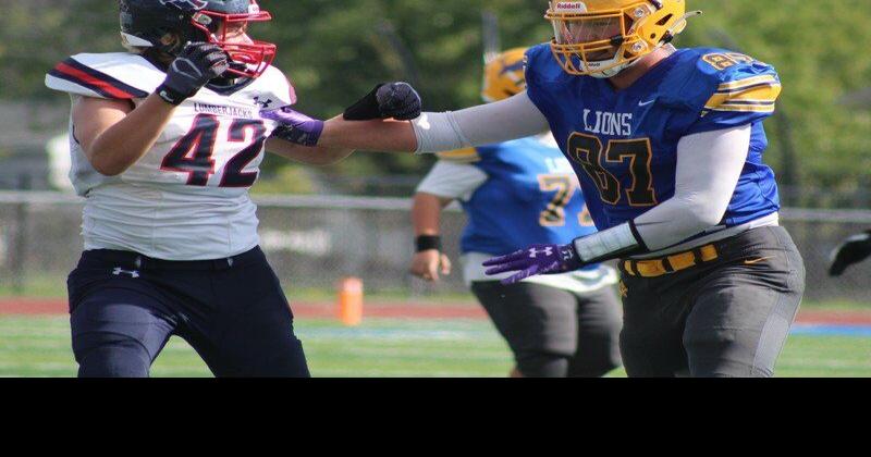 Lockport's Logan Wendt proves himself as one of Section VI's top tight ...