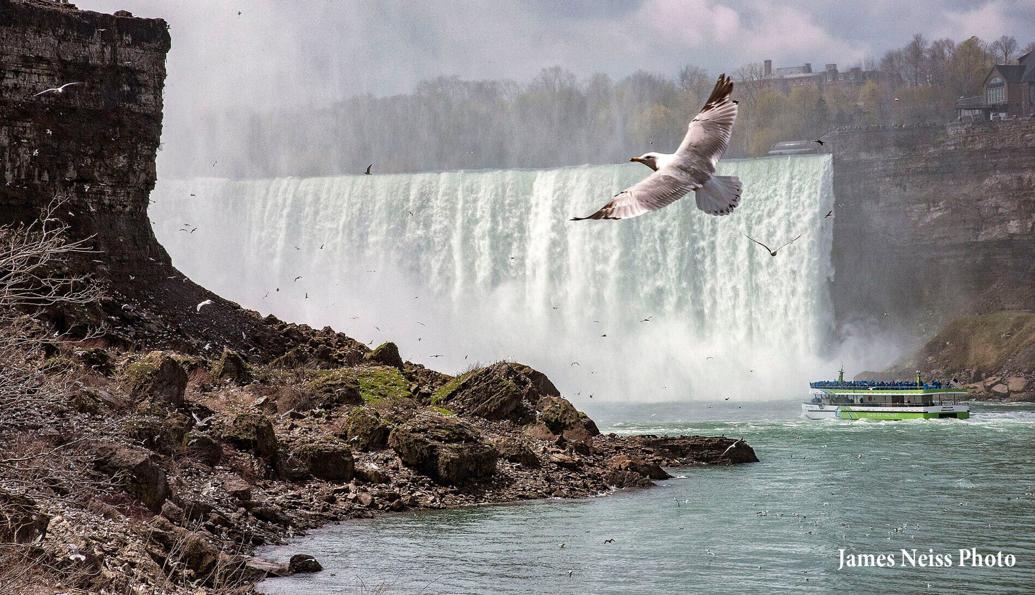 Local News | lockportjournal.com