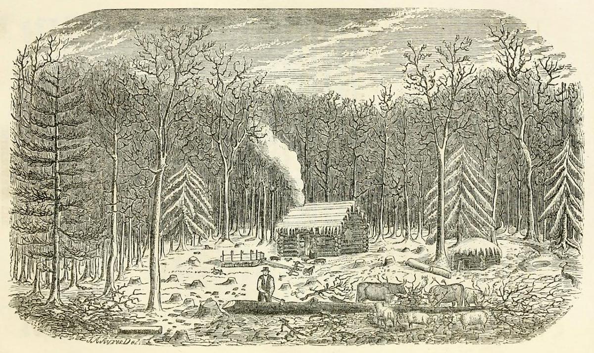 year without a summer