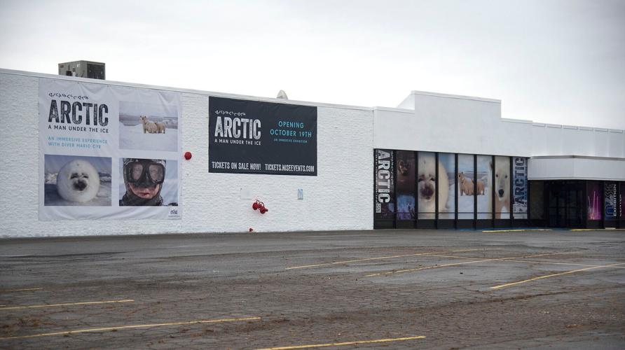 Arctic adventure reaches the Summit | Local News | lockportjournal.com