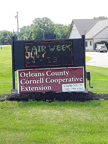 Orleans County 4-H Fair begins Monday | Community | lockportjournal.com