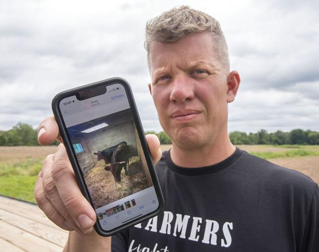 Until the cows came home | Local News | lockportjournal.com