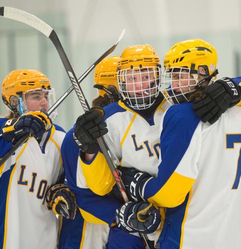 Lions fall just short on the ice | Sports | lockportjournal.com