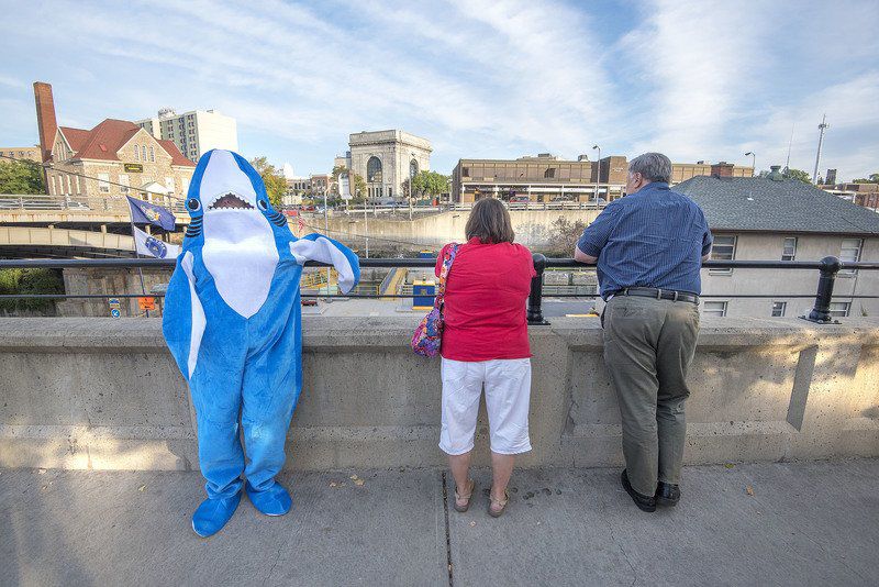 'Canal Shark' sightings reported downtown | Local News ...