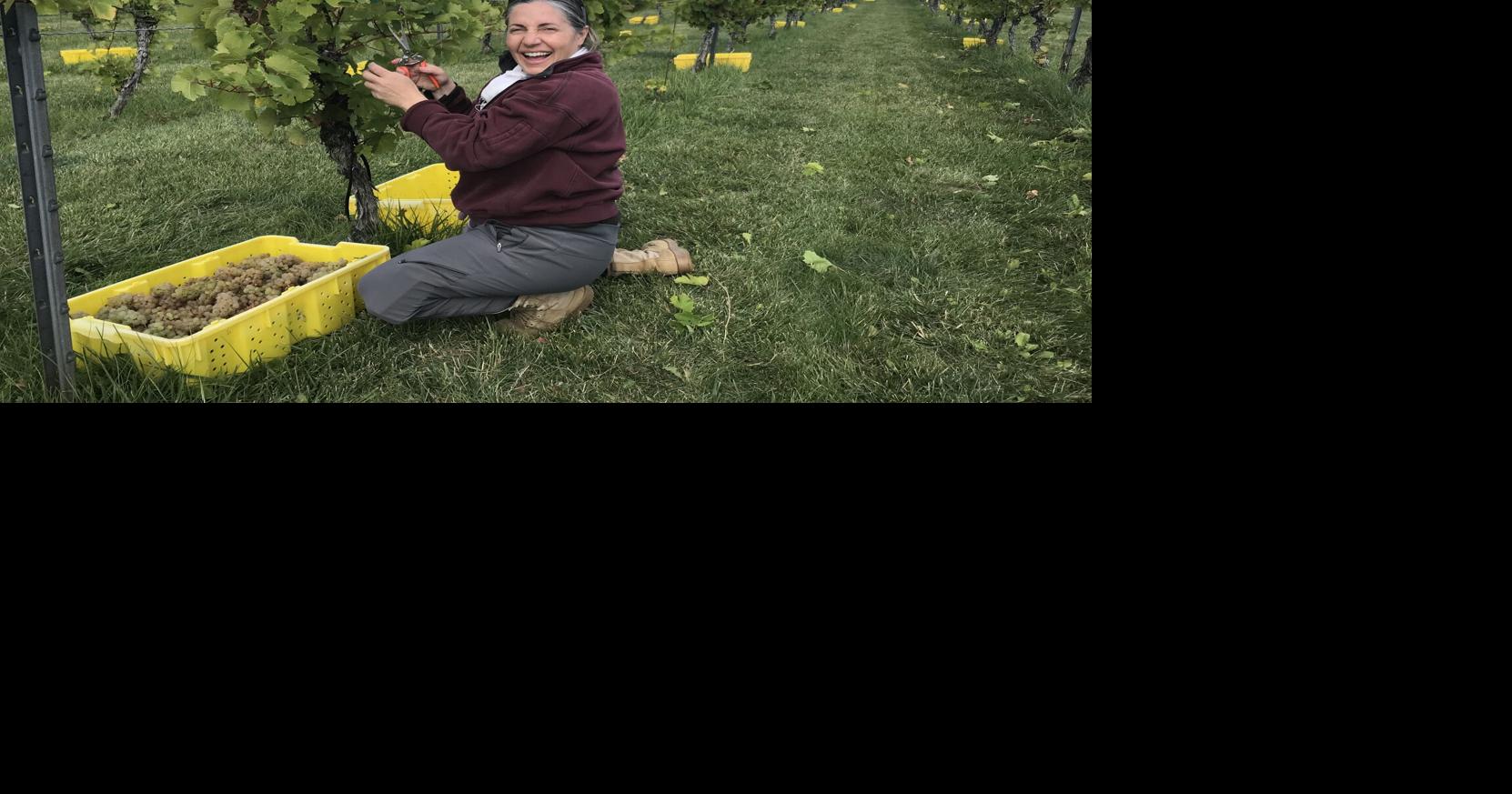 Veterans start their second chapter at Sassy Goat Winery | Local News ...