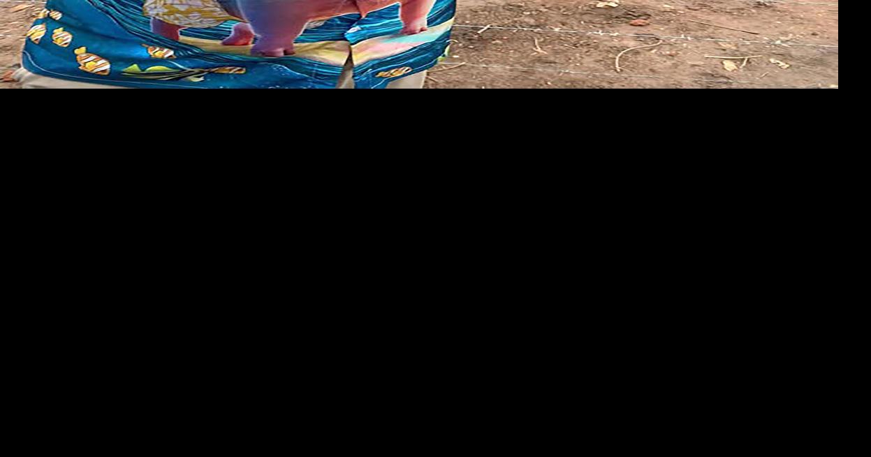 Local animal science teacher does educational outreach in Uganda ...