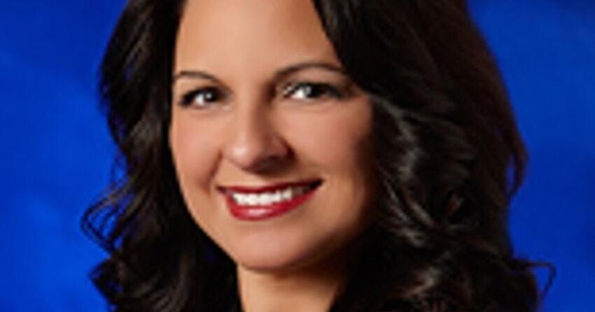 Four vying for three open seats in Starpoint school board election ...