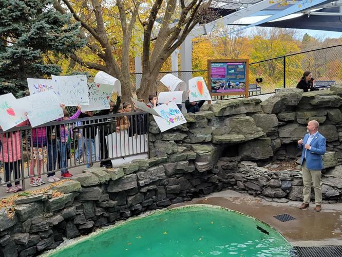 Aquarium seal Stryker predicts frigid winter for WNY | Local News ...