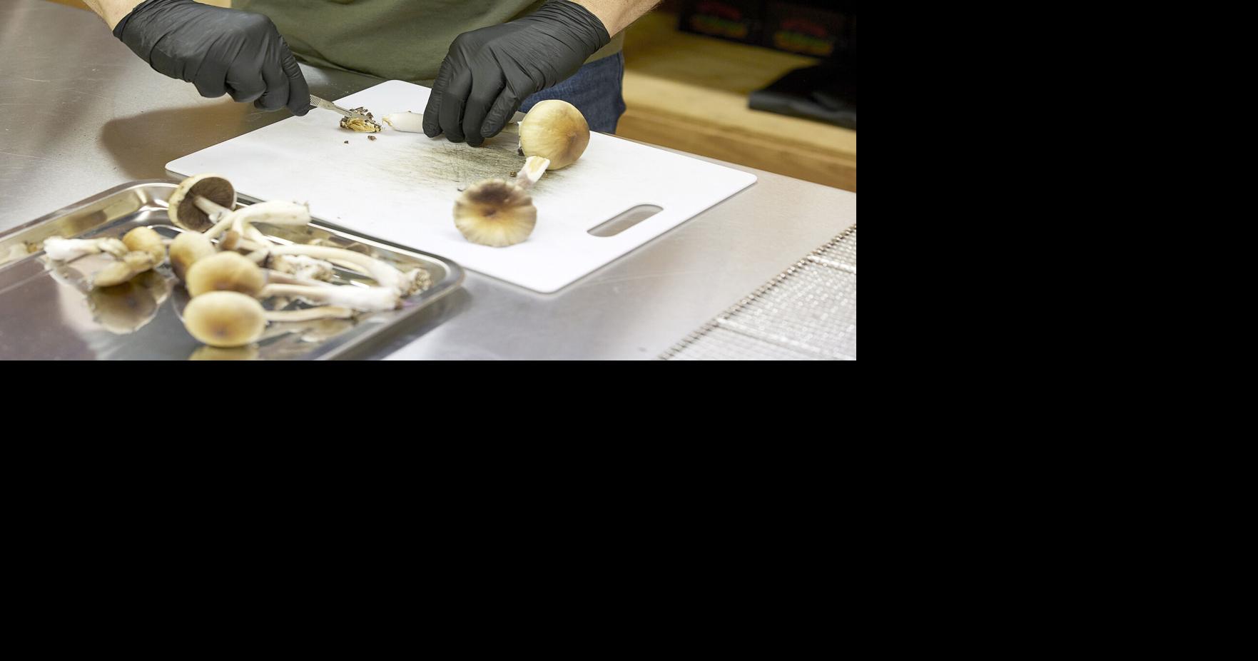 Thousands sign up to experience magic mushrooms as Oregon's novel ...