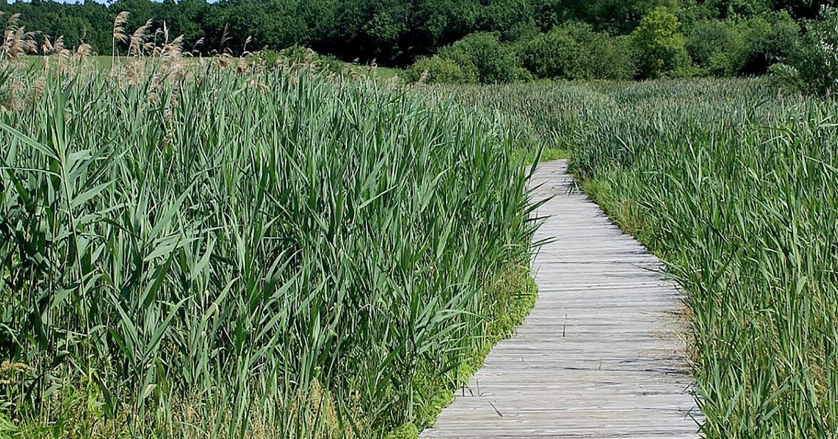 BOB CONFER: Enjoy Lytle Nature Preserve | Opinion | lockportjournal.com