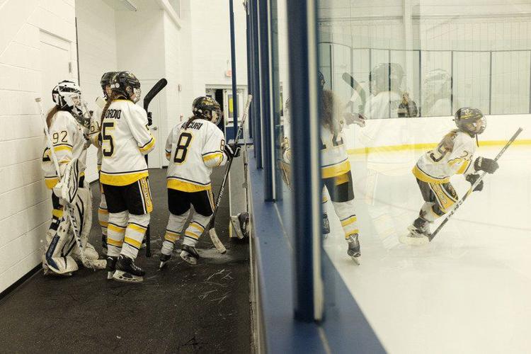 A win-win for Lockport and Cornerstone Arena | Local News ...