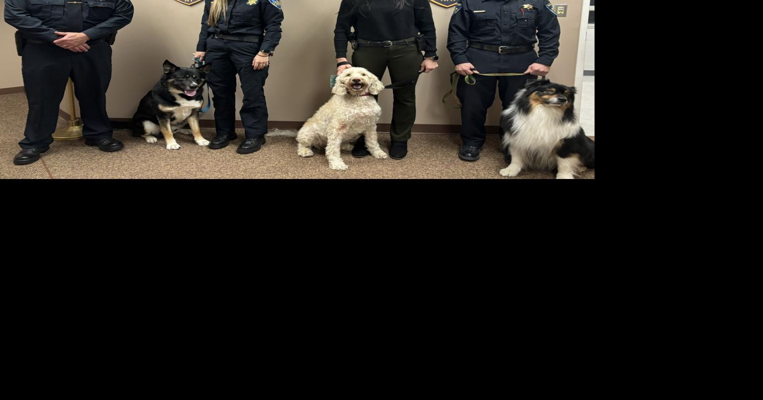 Local police need peer and public support to cope with stress | Local ...