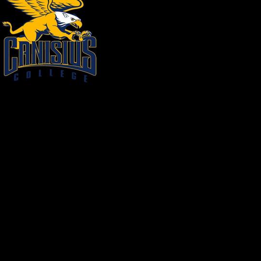 Canisius wins MAAC baseball title | Local Sports | lockportjournal.com