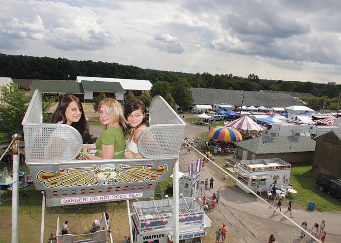 NIAGARA COUNTY FAIR: Greased pole, tractor contests are highlights ...