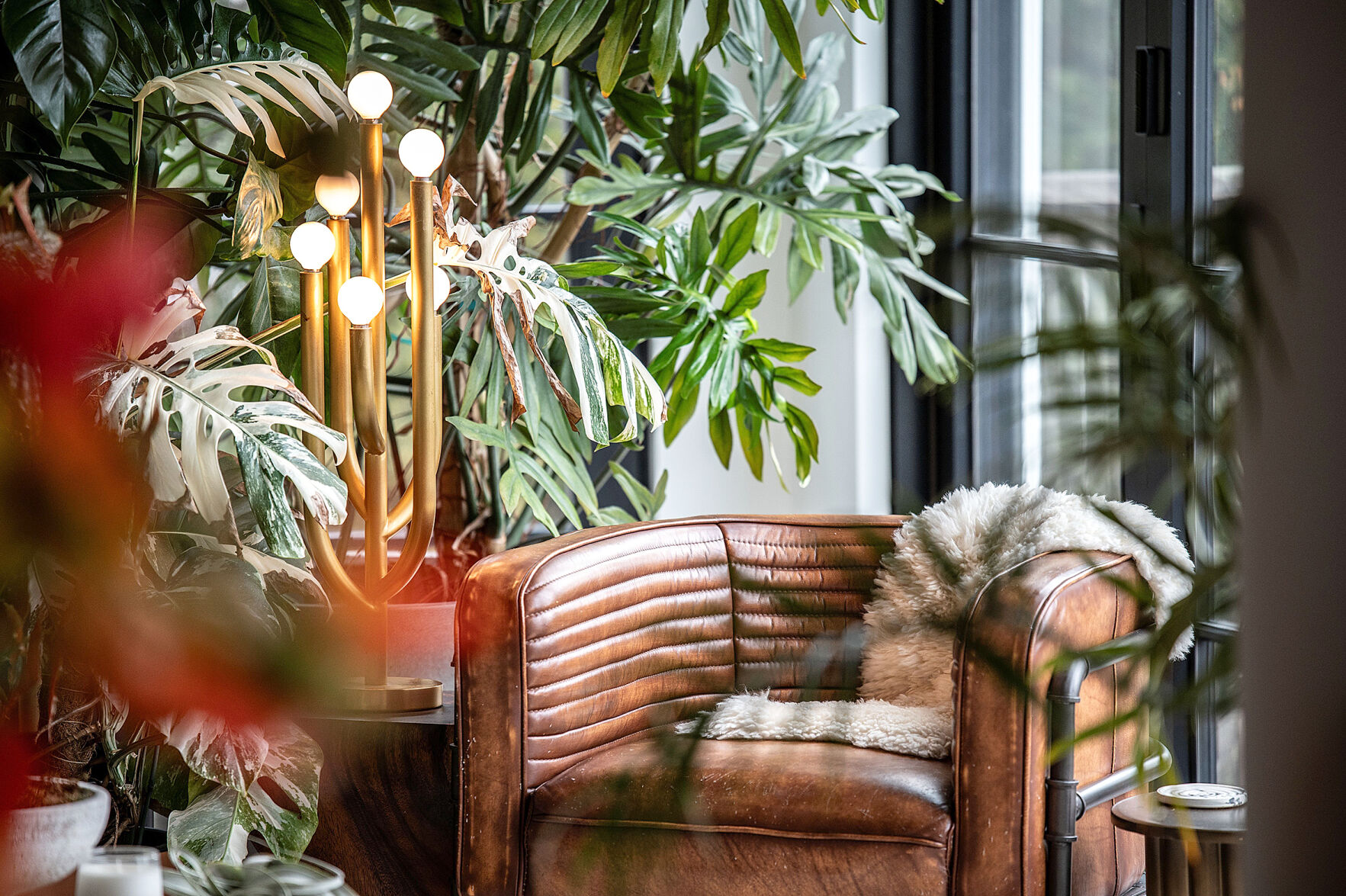 How to create a calming 'nature nook' with indoor plants: Advice from ...