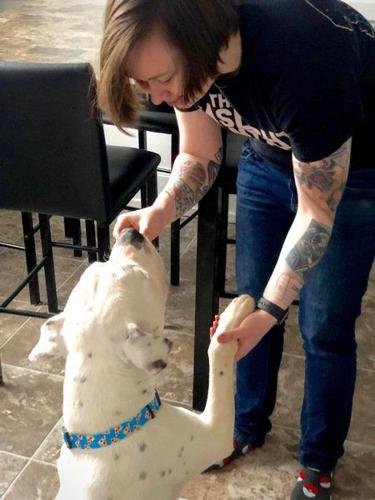 A brand new life – dog abandoned in Newfane finds new home | Local News ...