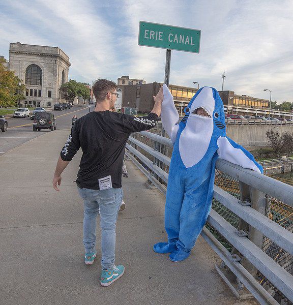 'Canal Shark' sightings reported downtown | Local News ...