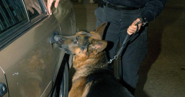 LOCKPORT: Police Department gets new K-9 unit | Local News ...
