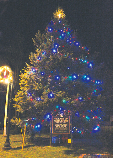Adopt a Tree Program under way in Middleport | Local News ...