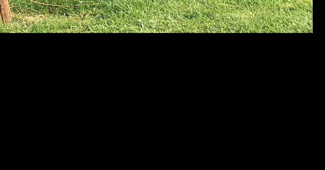 NIAGARA DISCOVERIES: The Lewiston/Old Niagara Trail and Settlement in ...