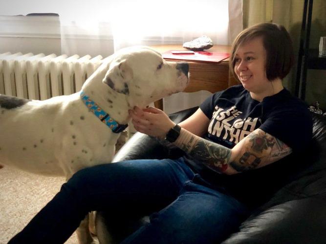 A brand new life – dog abandoned in Newfane finds new home | Local News ...