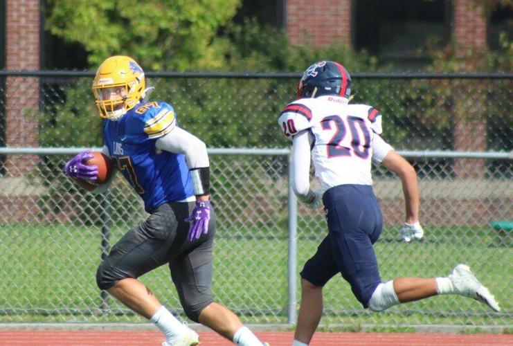 Lockport's Logan Wendt proves himself as one of Section VI's top tight ...