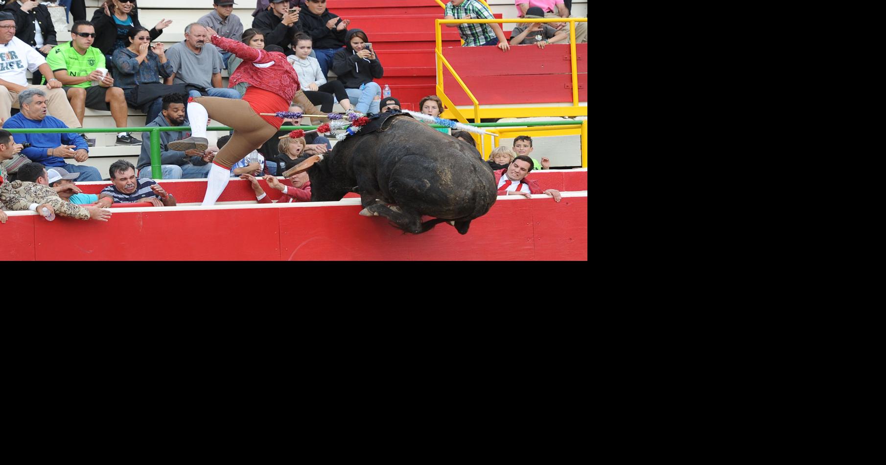 Thornton's bloodless bullfight | News | lodinews.com