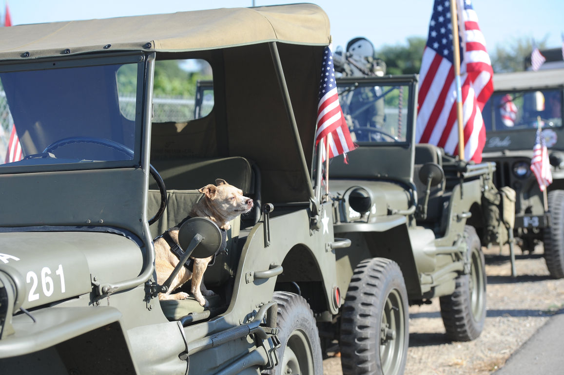 Vintage World War II Jeep drivers honor soldiers | News | lodinews.com