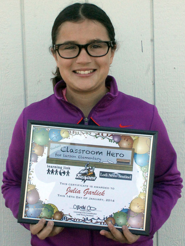 Larson Elementary School Classroom Heroes | Learning Link | lodinews.com