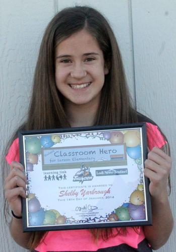 Larson Elementary School Classroom Heroes | Learning Link | lodinews.com