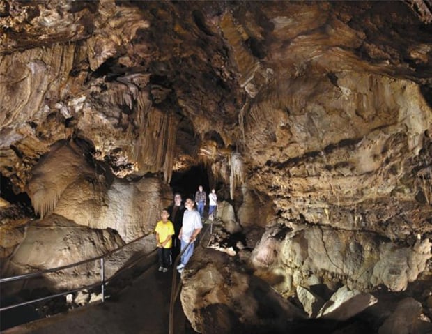 Head out to Lake Shasta Caverns for an adventure into an underground ...