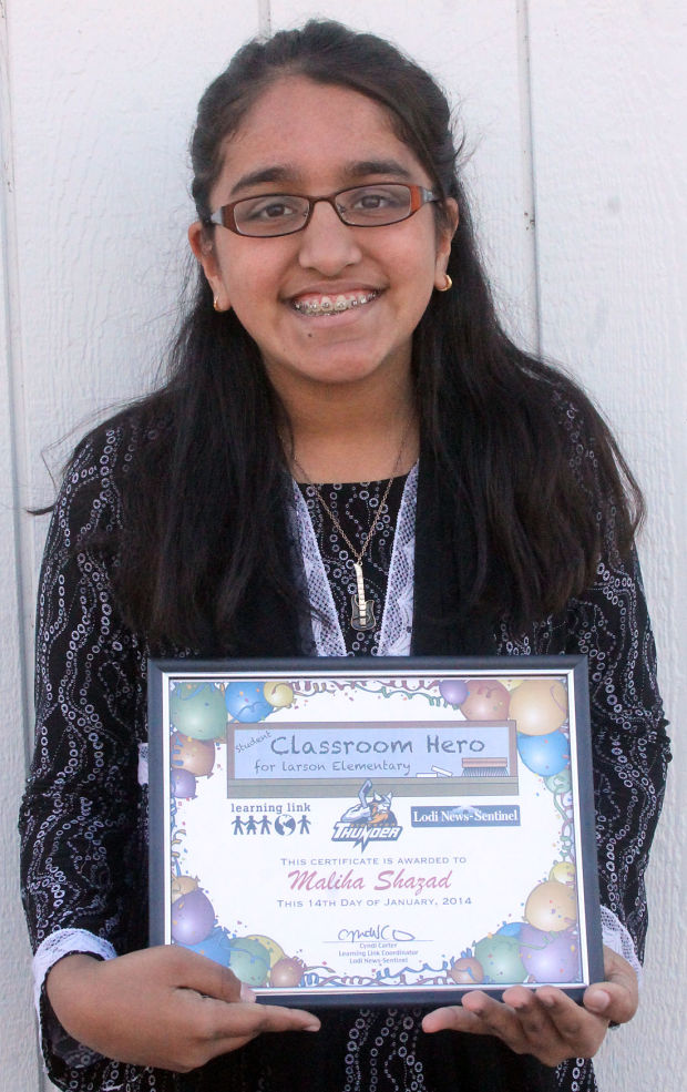 Larson Elementary School Classroom Heroes | Learning Link | lodinews.com