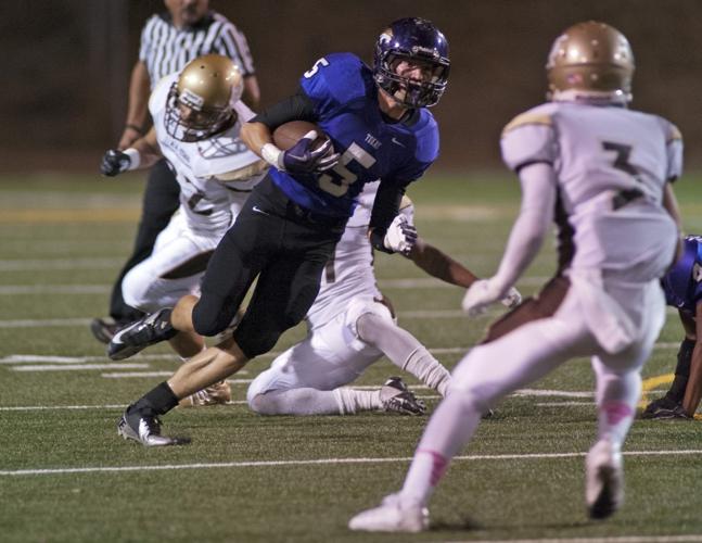 Tigers hang tough, but trumped by Delta Kings | Sports | lodinews.com