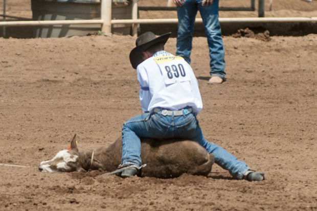 Young cowboys, cowgirls work hard at Clements Junior Stampede | News ...