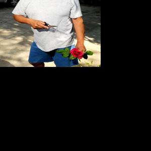 Gangs in Lodi: Fighting back | News | lodinews.com