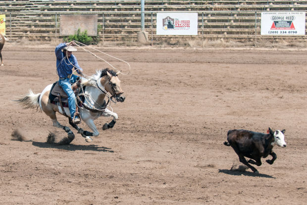 Young cowboys, cowgirls work hard at Clements Junior Stampede | News ...