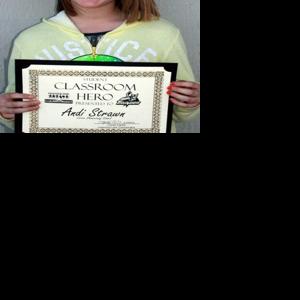 Larson Elementary School Classroom Heroes | Learning Link | lodinews.com