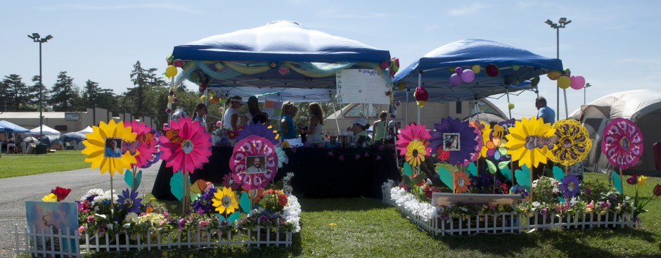 Relay for Life grows, draws hundreds to fight cancer | News | lodinews.com
