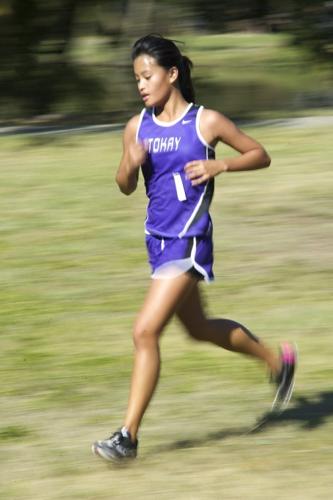 Tokay boys complete unbeaten run; girls not perfect, but still ...