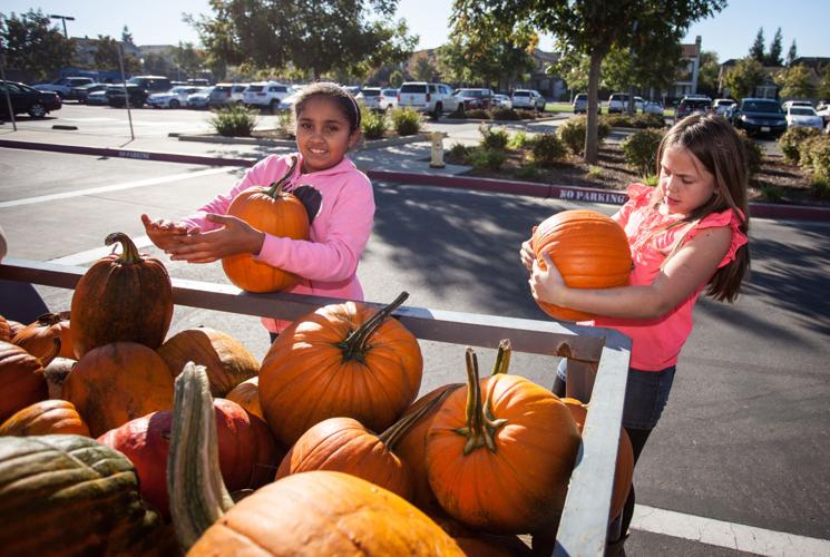 Kids Surprised With Free Pumpkins at School | News | lodinews.com