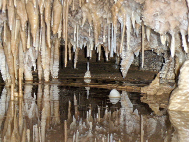 Head out to Lake Shasta Caverns for an adventure into an underground ...