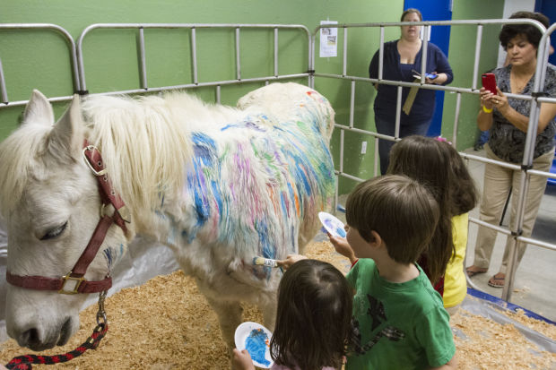 World of Wonders Science Museum hosts Hippology | News | lodinews.com
