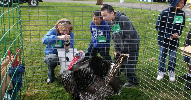 Ag Venture held at Lodi Grape Festival Grounds | News | lodinews.com