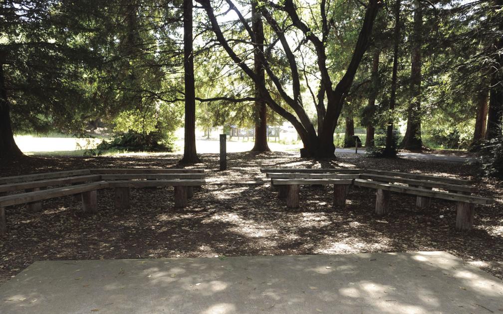 New project funds flow into Lodi Lake | News | lodinews.com