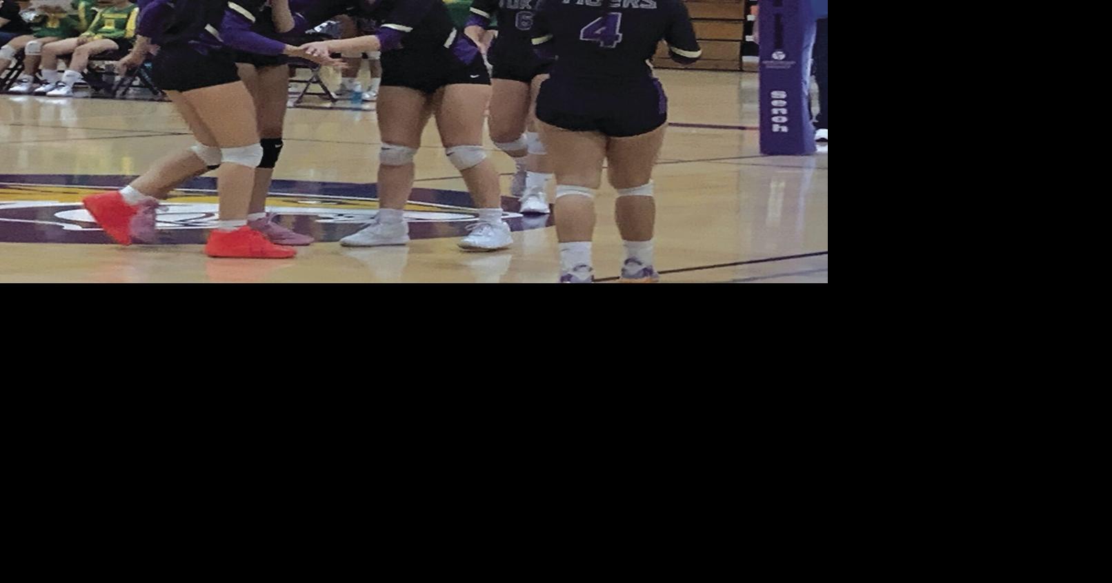 High schools: Tokay volleyball gets surprise placement among eight ...