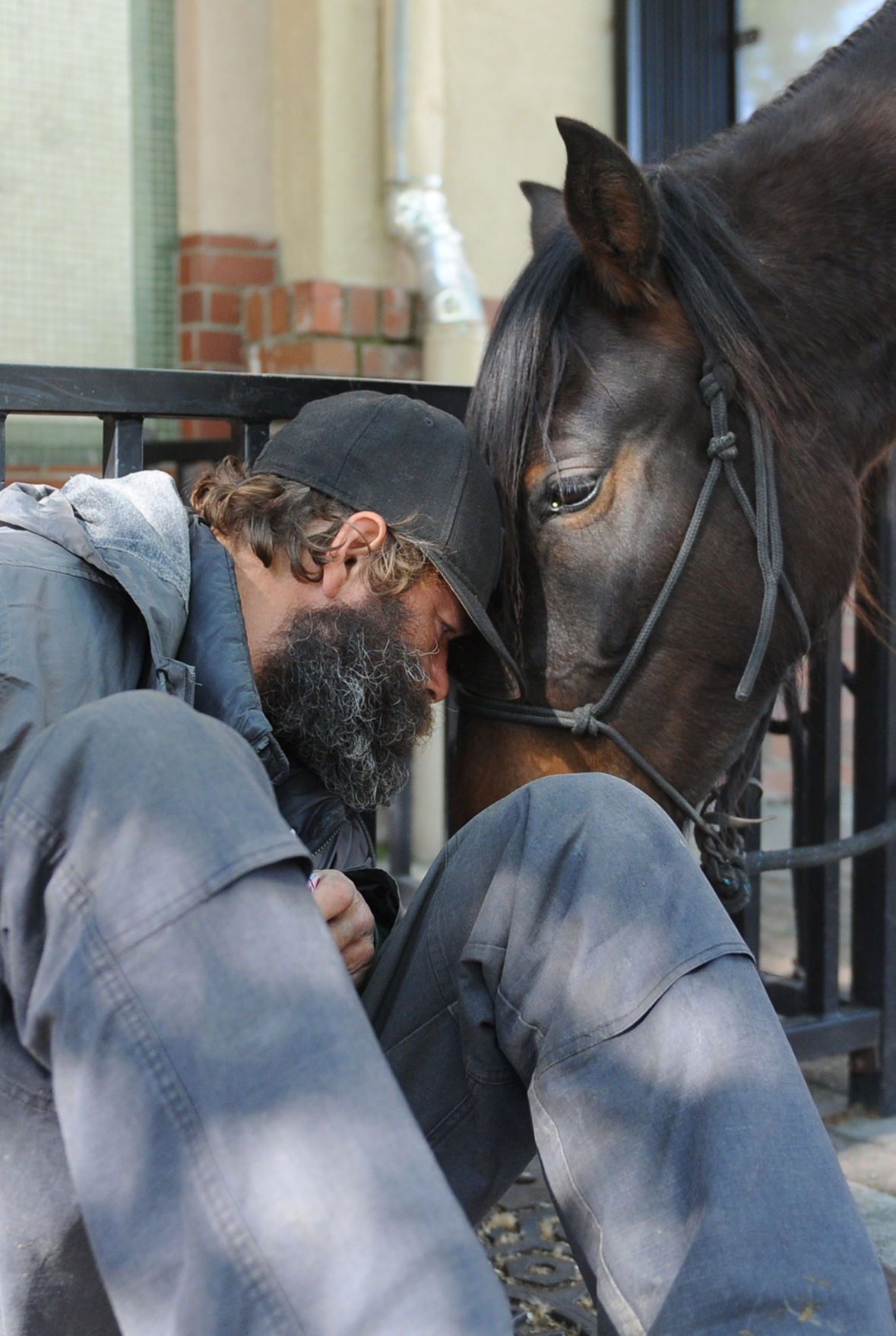 The homeless horseman: Frank Turpen and Tommy Girl are turning heads in ...