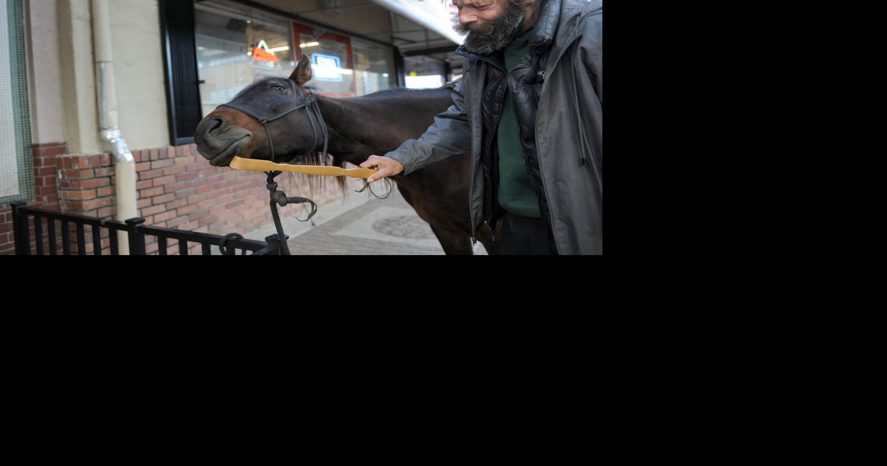 The homeless horseman: Frank Turpen and Tommy Girl are turning heads in ...